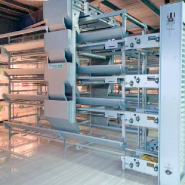 Tianrui Group has explored a new model of automated breeding of laying hens - the "Tianrui Model ...
